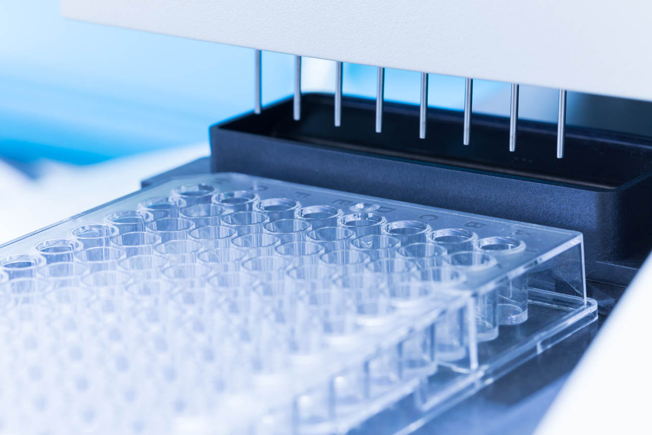 Archives des Agri-food - UMI